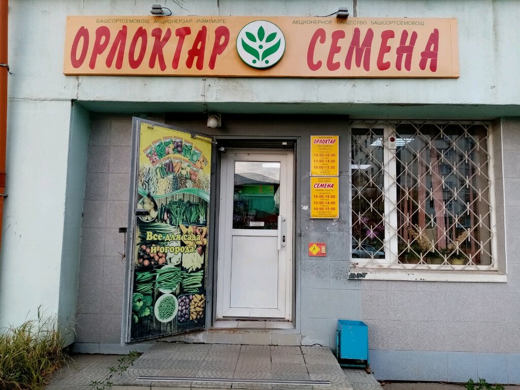 Tohum satan yerler Bashsortsemovoshch, Ufa, foto