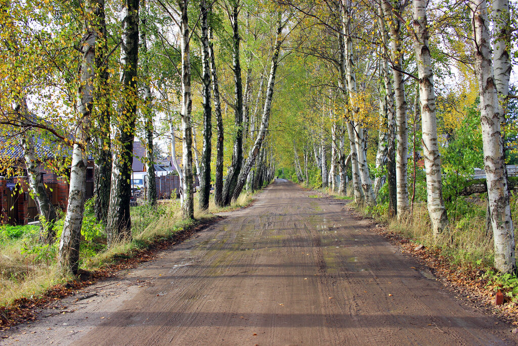 Emlak ofisi Яблоневый Сад, Kaliningradskaya oblastı, foto