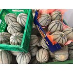 Azienda Agricola Cellura (Sicily, Agrigento, Licata, Piazza Armerina), toptancılar  Sicilya'dan