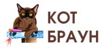 Кот Браун (Ostapovsky Drive No:12с1), petshop  Moskova'dan
