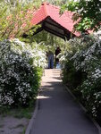 Byuvet (Volodymyra Maiakovskoho Avenue No:54/9), maden suları, pınarlar ve çeşmeler  Kiev'den