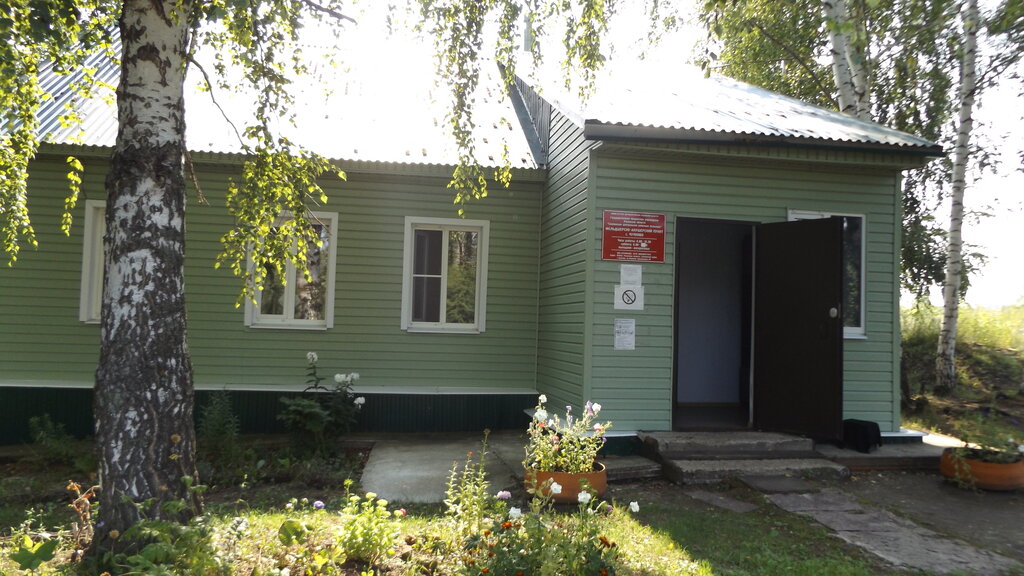 Aile sağlığı merkezi Фельдшерско-акушерский пункт, Riazanskaya oblastı, foto