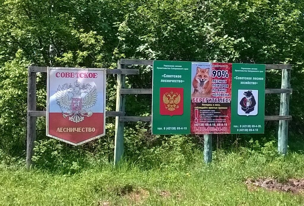 Orman işleri, orman koruma Советское лесное хозяйство, Sovetskaya Gavan, foto