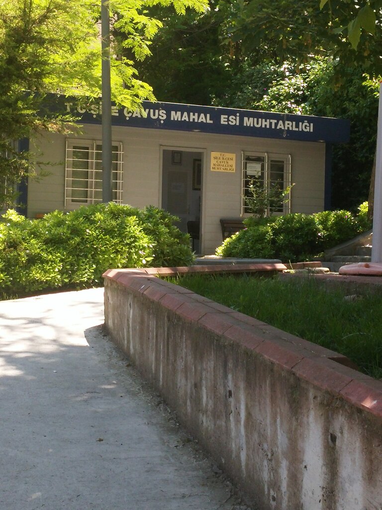 Muhtarlıklar Çavuş Mahalle Muhtarlığı, Şile, foto