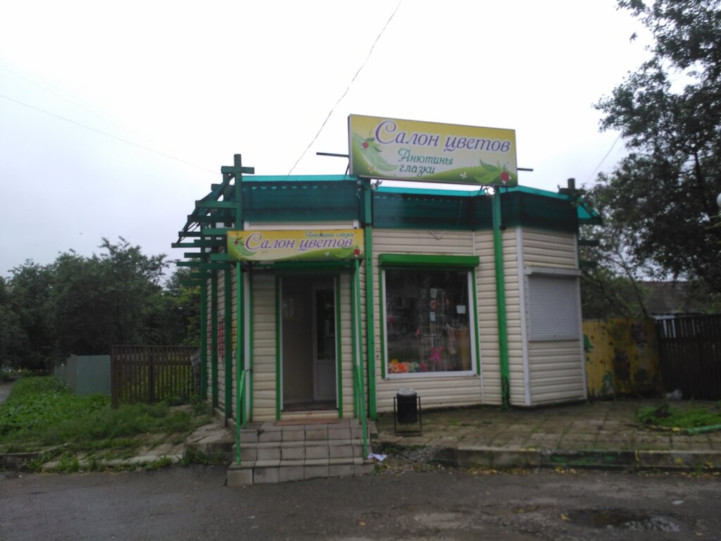 Çiçekçiler Anyutiny glazki, Kolçugino, foto
