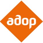 Ador Company (Borkovskaya Street No:61), araç modifiye  Tolyatti'den (Togliatti'den)