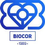 Biokor (Gorkogo Street No:115), cam ve cam ürün üreticisi  Vladimir'den