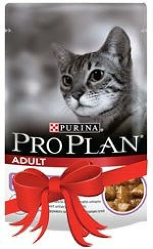 Petshop Zoomagazin 4 Pitomtsa, Novokuznetsk, foto