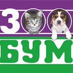 Zoobum (улица Мучные Ряды No:1), petshop  Kostroma'dan
