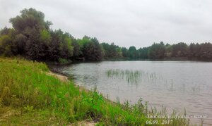 Пляж (Tambov Region, Michurinskiy munitsipalny okrug, SDT Stroitel), plaj  Tambovskaya oblastından
