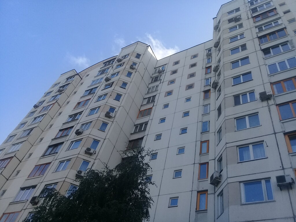 Kuru temizlemeciler Khimchistka Diana, Moskova, foto