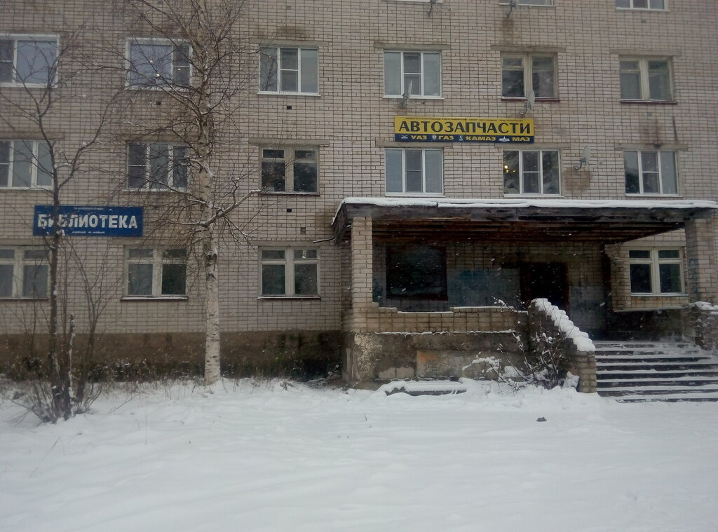 Kütüphaneler Biblioteka-filial m. Novy, Mu Knyazhpogostskaya MTsBS, Emva, foto