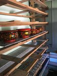 Khokhloma wholesale (ulitsa Shevchenko No:24А), hediyelik eşya üretimi ve toptan satışı  Semenov'dan