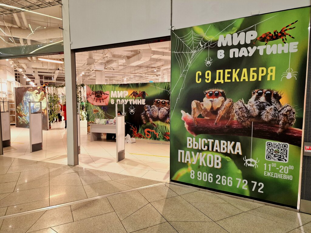 Sergi salonları, galeriler Мир в Паутине, Saint‑Petersburg, foto