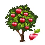 Rostok-plus (Dziaržynskaja vulica No:1Б, ahraharadok Voziera), sera ve bahçe ürünleri  Minskaya oblastından