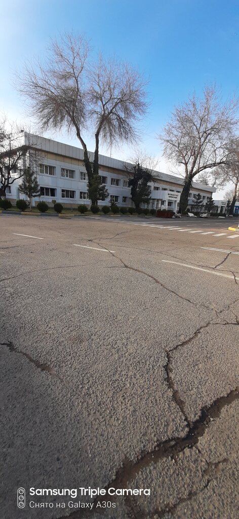 Sanayi kuruluşu TashTsvetMet, Taşkent, foto