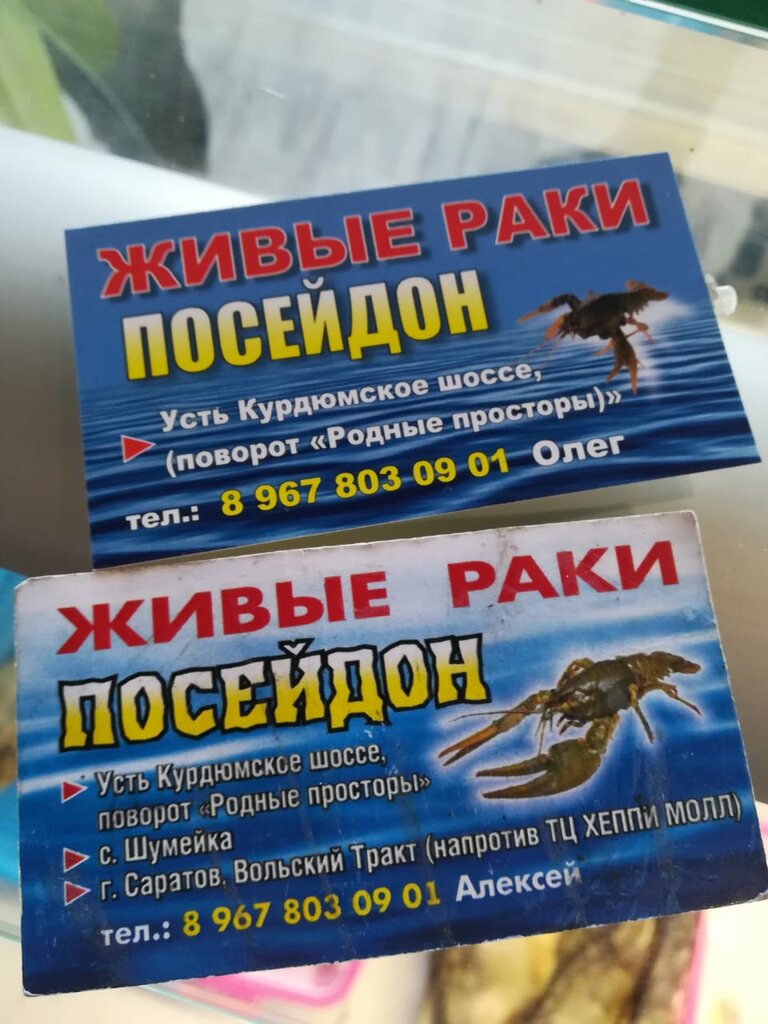 Balık ve deniz ürünleri Посейдон, Saratovskaya oblastı, foto