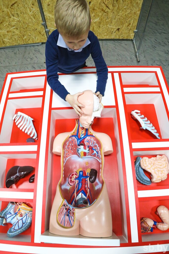 Müzeler ve sanat galerileri Interactive Museum of Man, Minsk, foto