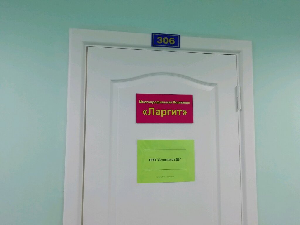 Kerestecilik, ağaç satışı Леспромгаз ДВ, Habarovsk, foto