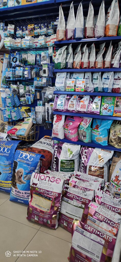 Petshop Magazin Akvarium +, Taganrog, foto