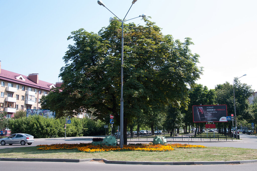 Doğa Boulevard chestnut, Brest, foto