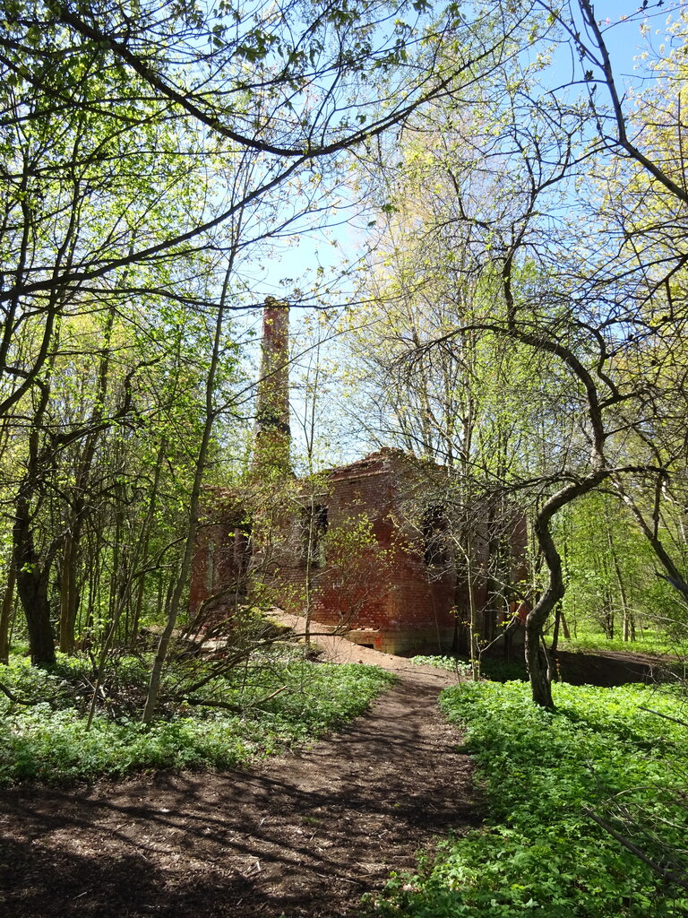 Turistik yerler Здание водоподъёмной машины, Peterhof, foto