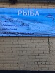 Рыба (Bolnichnaya ulitsa No:117Б, rabochiy posyolok Selyatino), balık ve deniz ürünleri  Moskova ve Moskovskaya oblastından