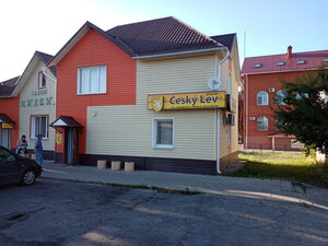 Cesky Lev (Dorozhnaya ulitsa No:3Е), bar  Novy Oskol'dan