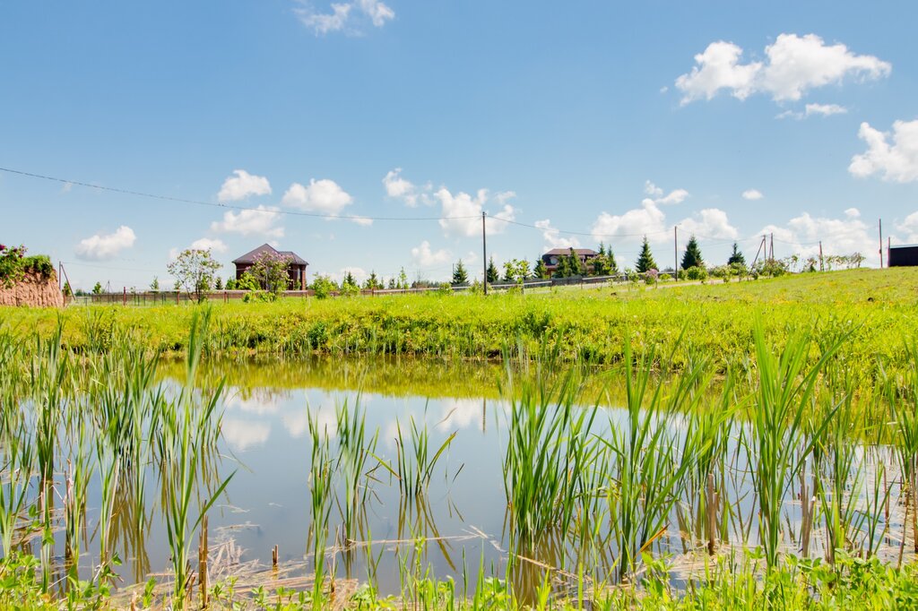 Arazi dizisi Derevnya Vinogradovka-kottedzhny poselok, Moskova ve Moskovskaya oblastı, foto
