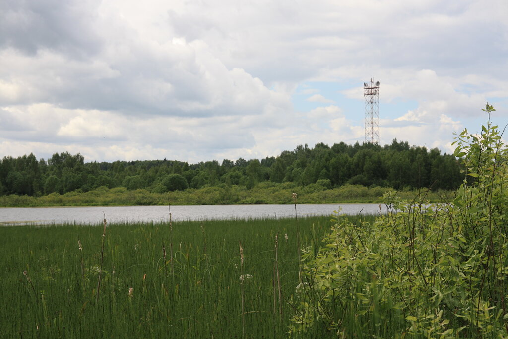 Mühendislik altyapısı Вышка радиорелейной связи, Yaroslavskaya oblastı, foto
