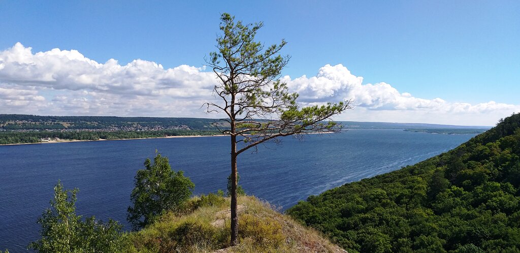 Dağ zirvesi Утёс Шелудяк, Samarskaya oblastı, foto