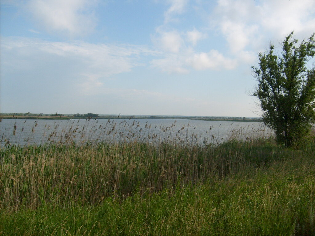 Termal otel Gouz Sanatory Stepnoy, Rostovskaya oblastı, foto