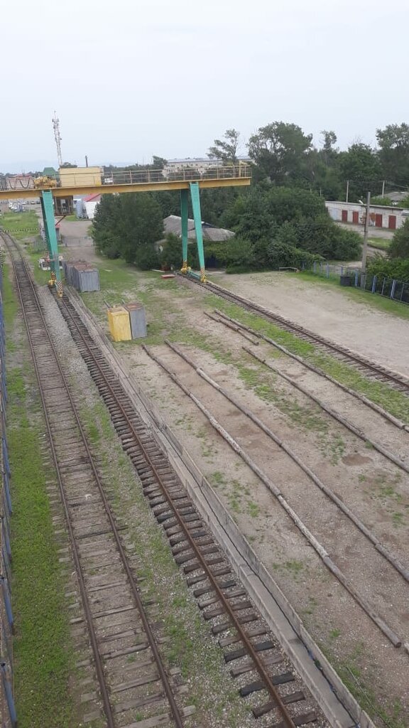 Demiryolu kargo Dalnerechensk, Russian Railways cargo area, Dalnorechensk, foto