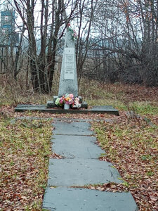 Обелиск павшим в боях за Родину в Великой Отечественной войне (Kostroma Region, Ostrovskiy munitsipalny okrug, posyolok Dymnitsa), anıt, heykel  Kostromskaya oblastından