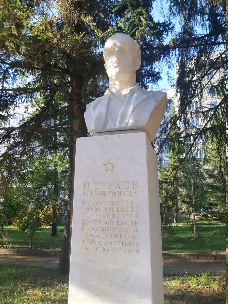 Anıt, heykel Бюст А.И. Петухова, Novosibirsk, foto