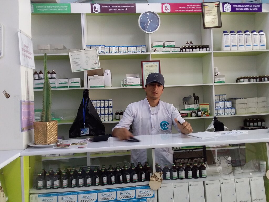 Veteriner eczaneleri Somonfarmasevtika, Hisor Bölgesi, foto
