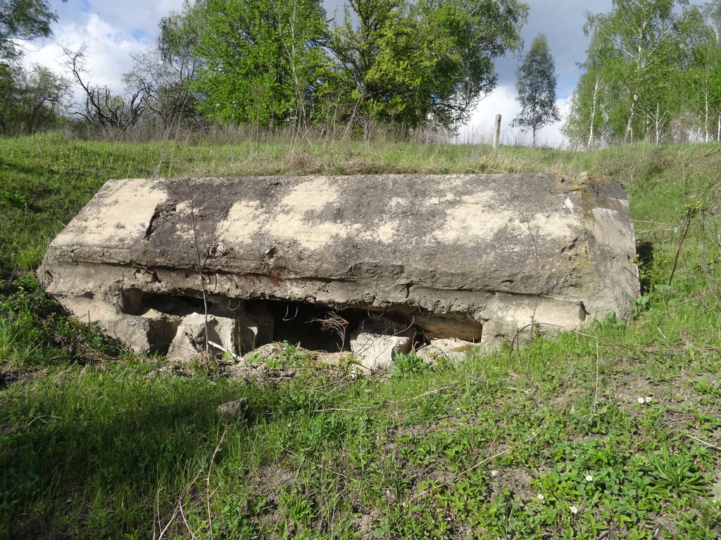 Unutulmaz olayların yeri Дзот, Brianskaya oblastı, foto