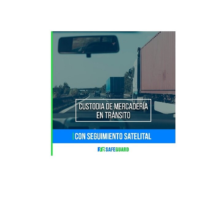 Temizlik şirketleri Safeguard Srl, Buenos Aires, foto