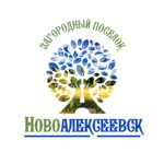 Novoalexeevsk (проспект Петра Великого No:28, деревня Алексеевка), arazi dizisi  Novosibirskaya oblastından