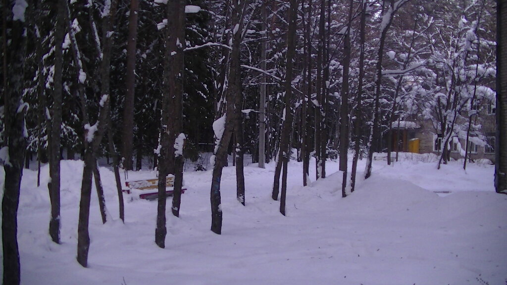 Termal otel Детский санаторий Орлёнок, Permski krayı, foto