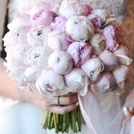 Edem Flowers (Krasnoarmeyskaya ulitsa No:490), çiçekçiler  Ust‑Labinsk'ten