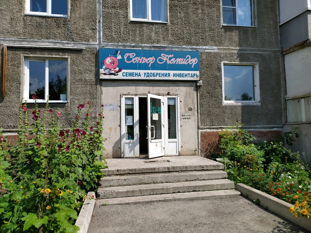 Tohum satan yerler Сеньор Помидор, Magnitogorsk, foto