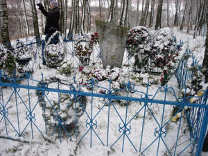 Могила советских воинов, павших при освобождении Краснинского района от фашистских захватчиков (Smolensk Region, Krasninskiy munitsipalny okrug, derevnya Zverovichi, Severnaya ulitsa), anıt, heykel  Smolenskaya oblastından