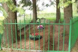 Anıt, heykel Братская могила советских воинов, погибших в боях с фашистами, Pskovskaya oblastı, foto