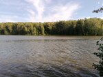 Pershino (Moscow Region, Ramenskiy Urban District, TSN Pershino, Tsentralnaya ulitsa), arazi dizisi  Moskova ve Moskovskaya oblastından