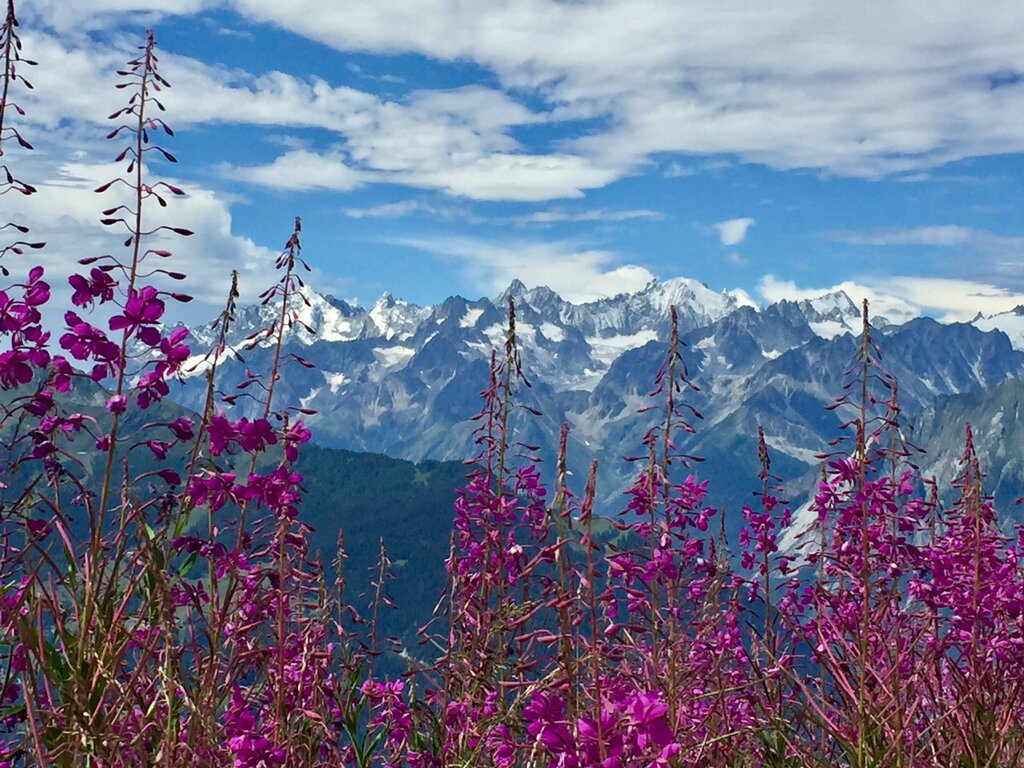 Özel okul Verbier Language School, Valais, foto