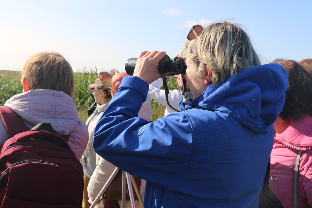 Sivil toplum kuruluşları APB-BirdLife Belarus, Minsk, foto
