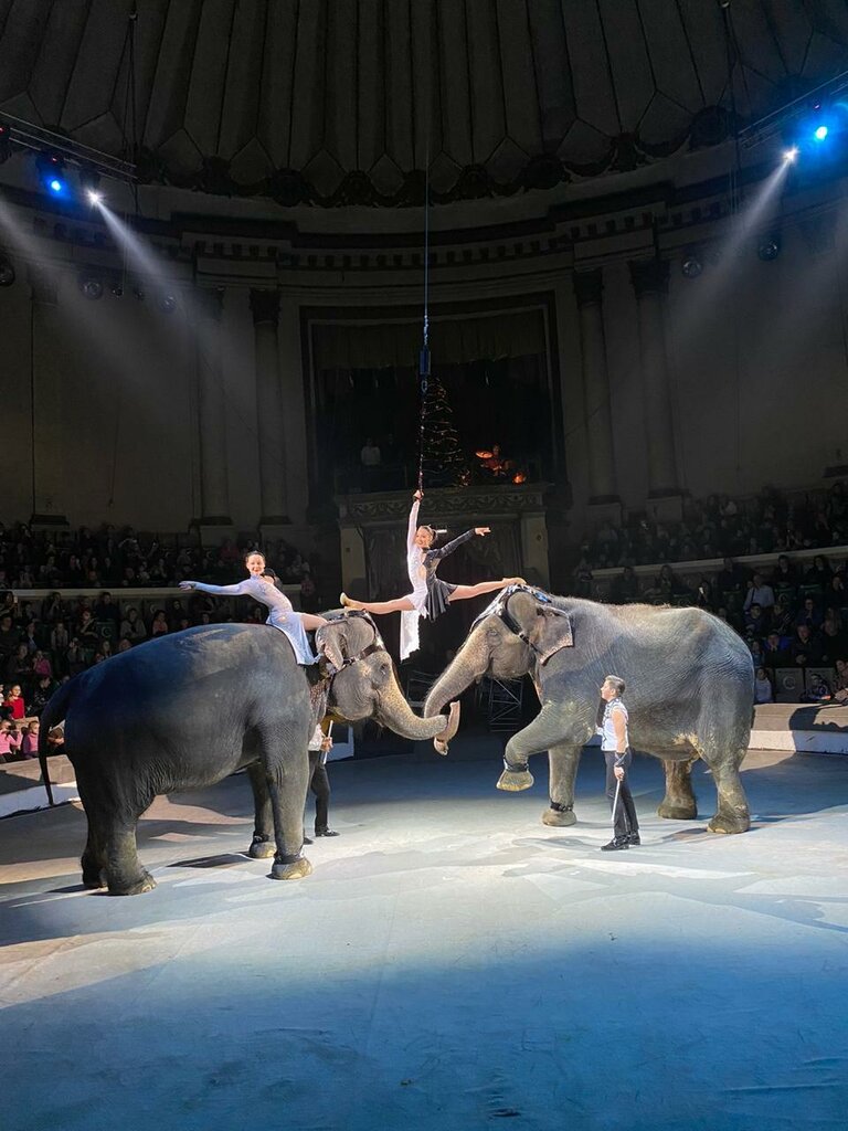 Sirkler Circus Gaertner Bros, Samara, foto