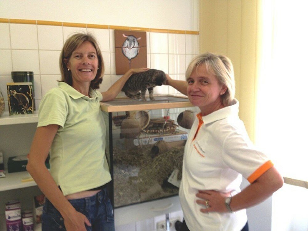 Veteriner klinikleri Die Tierärztinnen - Dipl. Tzt. Sonja Trattnig, Viyana, foto