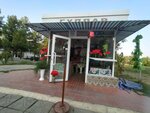 Gullar (Andizhan, Abdurauf Fitrat Street), çiçekçiler  Andican'dan